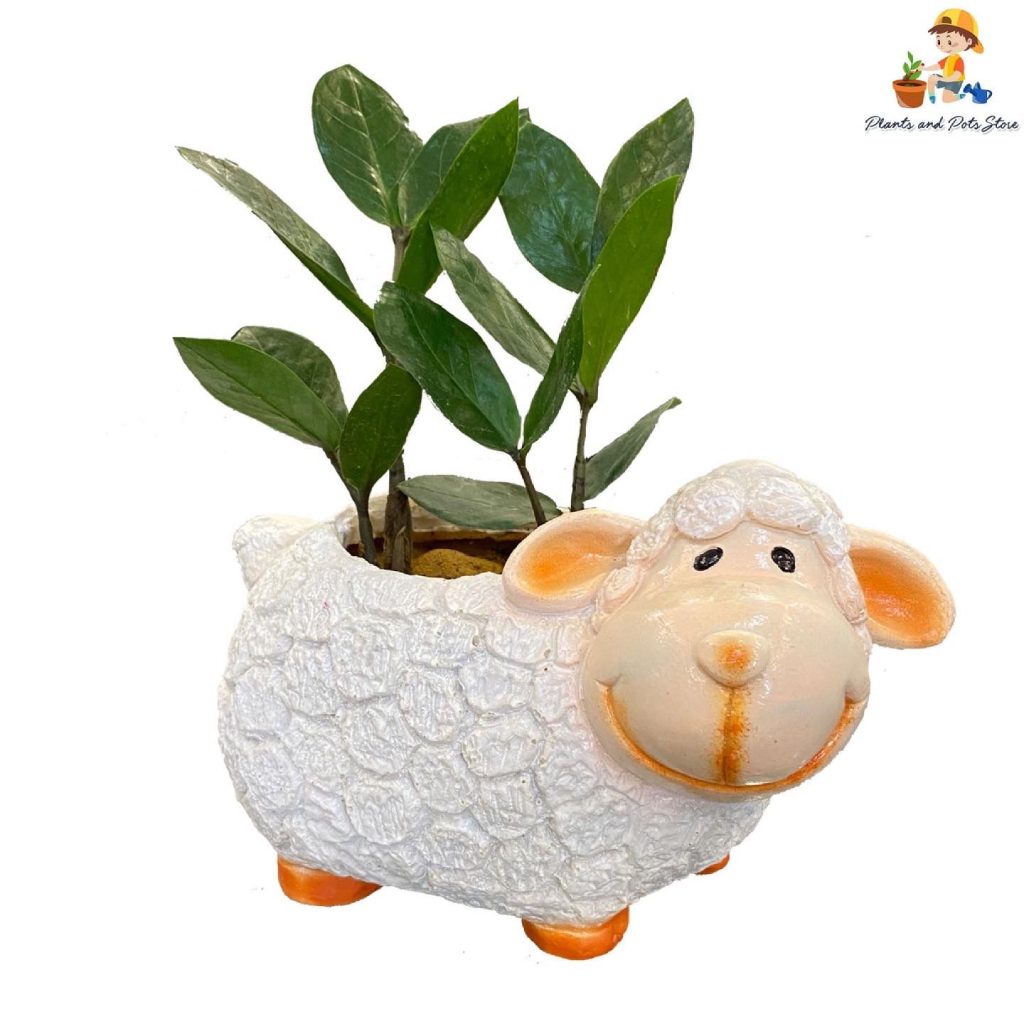 Sheep resin pot with zamia plant - Indoor Plant - Plants and Pots Store